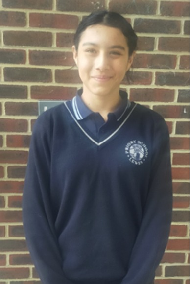 East Sussex Youth Cabinet - News - Welcome to Priory School Lewes